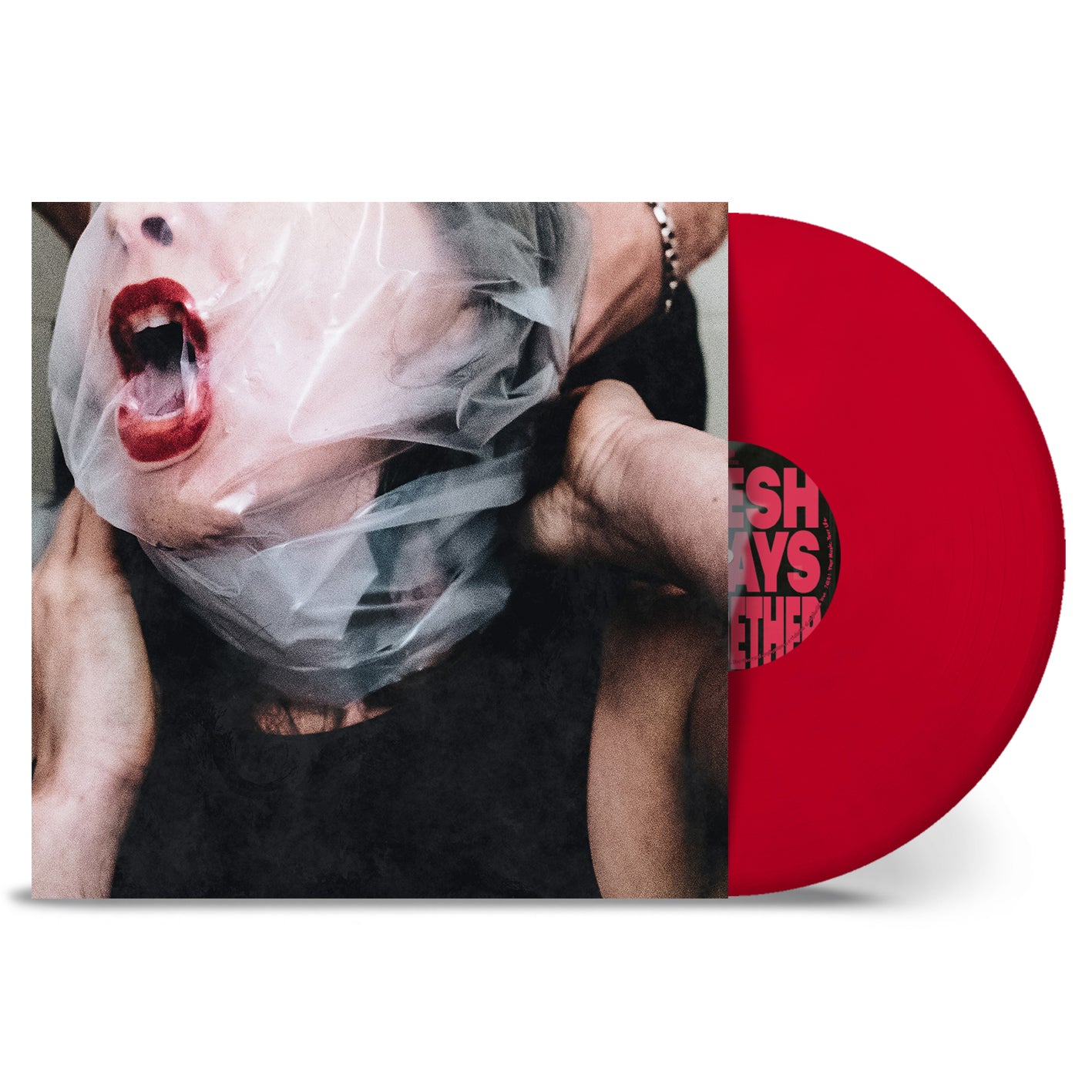 Dying Wish - Flesh Stays Together – Crash Records