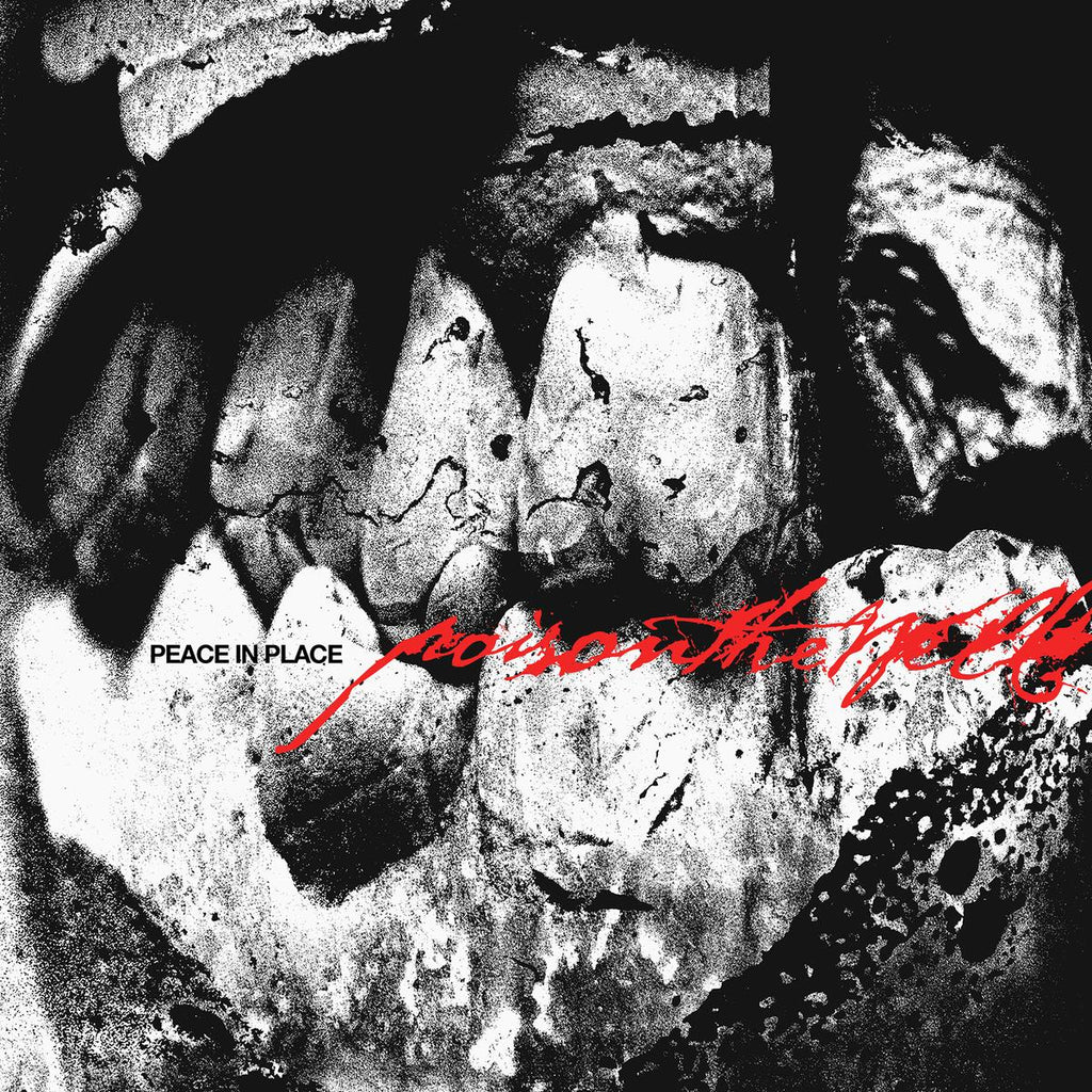 THRASHOCORE :: Les news du 13 Janvier 2026 : Poison The Well - Defaced ...